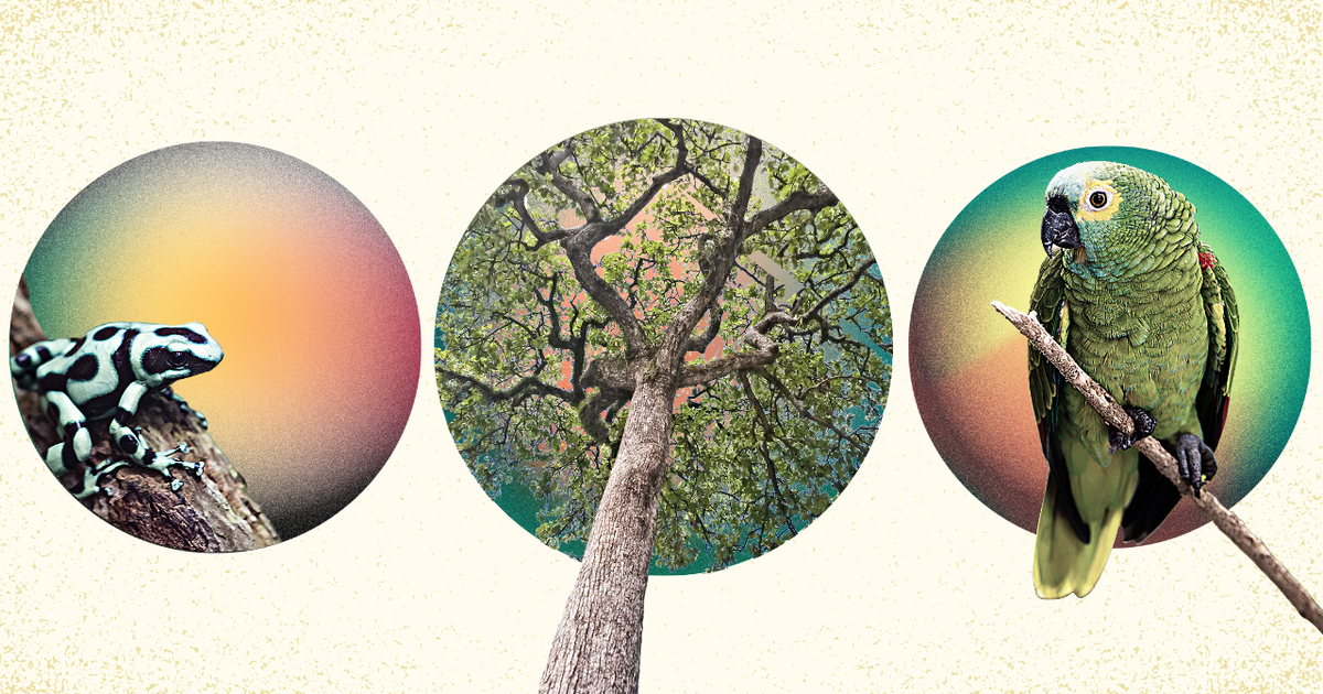 Bio-regions – readyenglishlessons.com